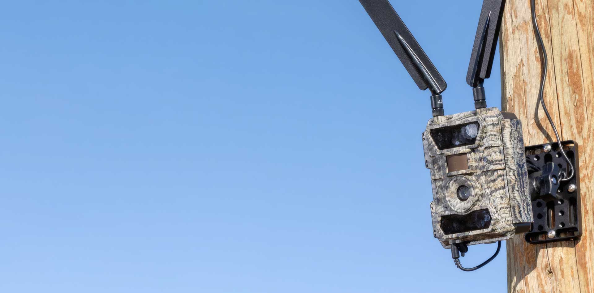 Off-Grid Cameras – Barn Owl Tech