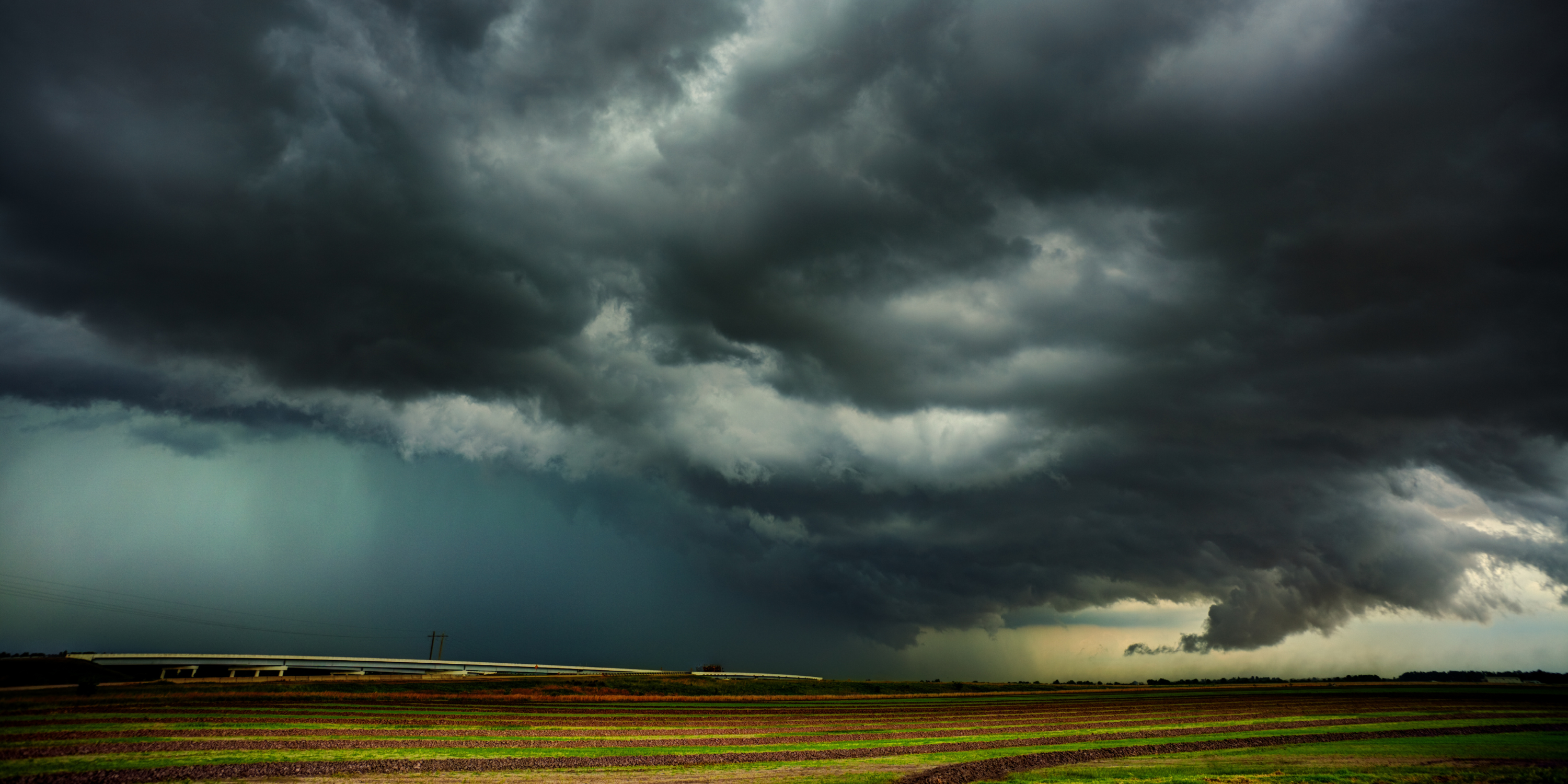 Enhancing Farm Resilience: How Barn Owl Cameras Support Farmers and Ra – Barn Owl Tech