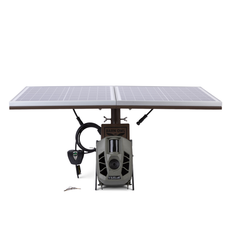 RangeCam Live – Barn Owl Tech