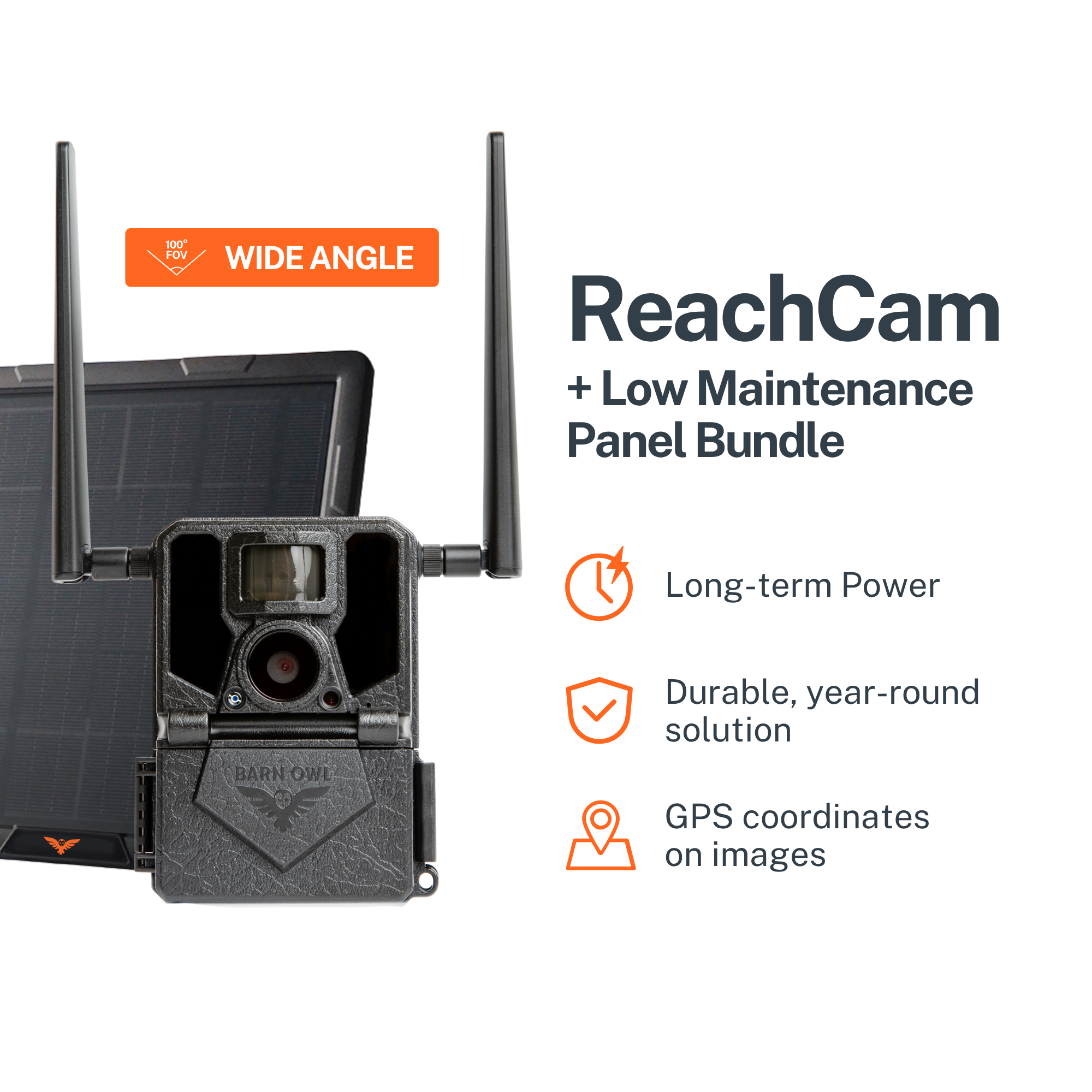 Barn Owl for Surveillance – Barn Owl Tech