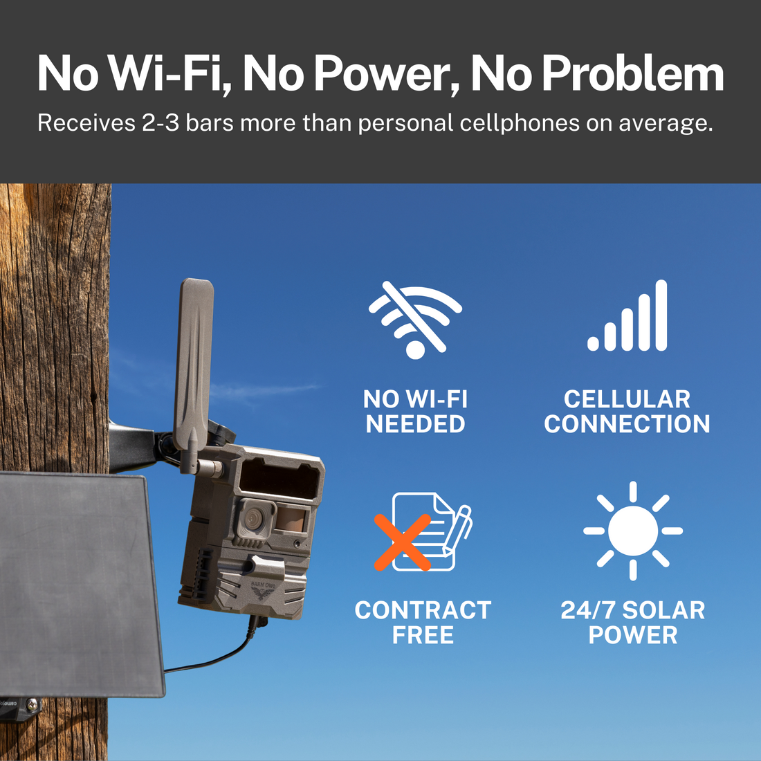 RangeCam Live – Barn Owl Tech