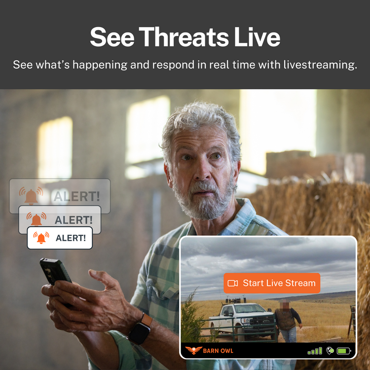 RangeCam Live – Barn Owl Tech