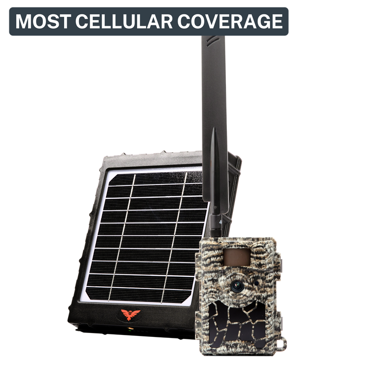 Off-Grid Cameras – Barn Owl Tech