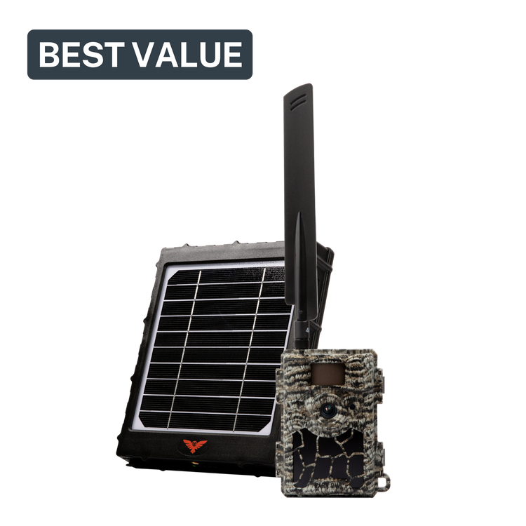 Off-Grid Cameras – Barn Owl Tech