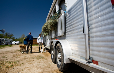 Barn Owl for Surveillance – Barn Owl Tech