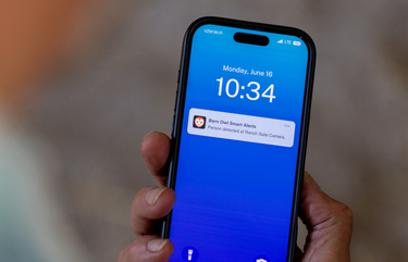 Barn Owl for Surveillance – Barn Owl Tech