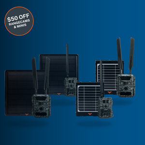 Barn Owl Cellular Cameras – Barn Owl Tech