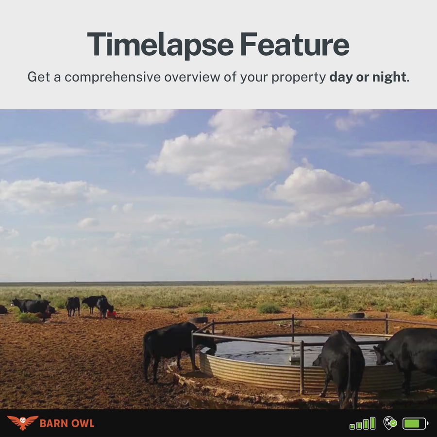 Barn Owl for Surveillance – Barn Owl Tech