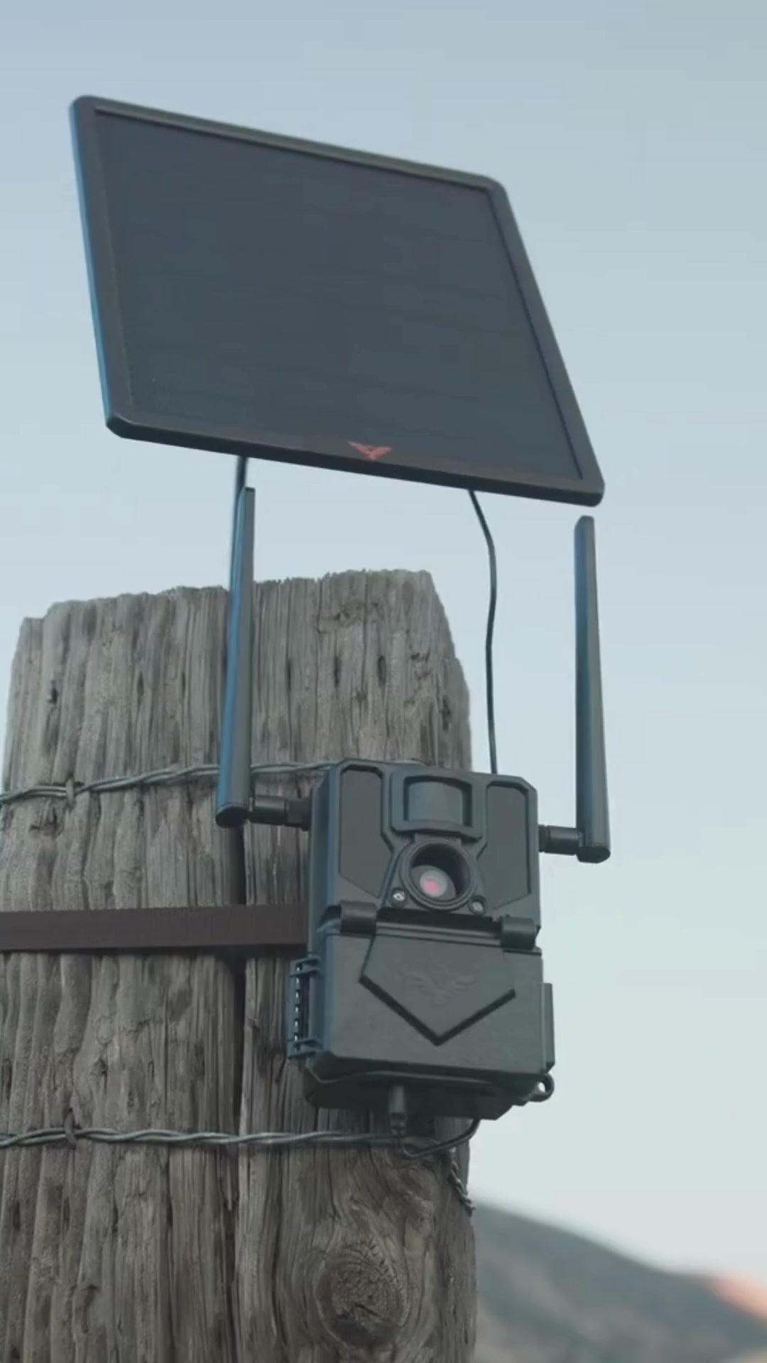 Barn Owl Cellular Cameras – Barn Owl Tech